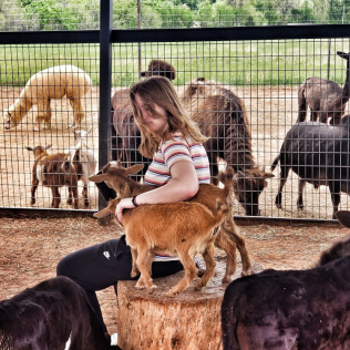 Gallery | Snider Family Exotics