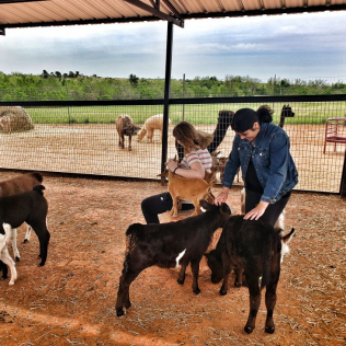 Gallery | Snider Family Exotics