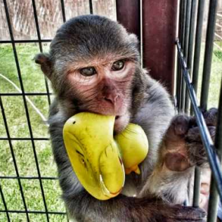 Gallery | Snider Family Exotics